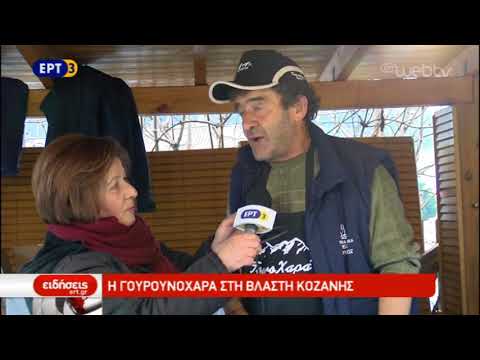 Η 'γουρουνοχαρά' στη Βλάστη Κοζάνης - YouTube