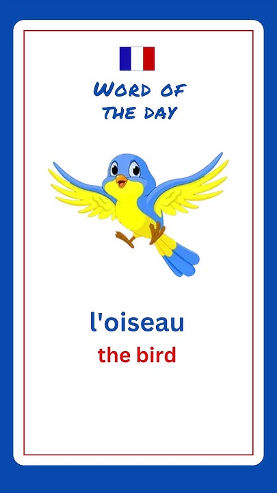 How To Say Bird In French | French For Beginners - YouTube