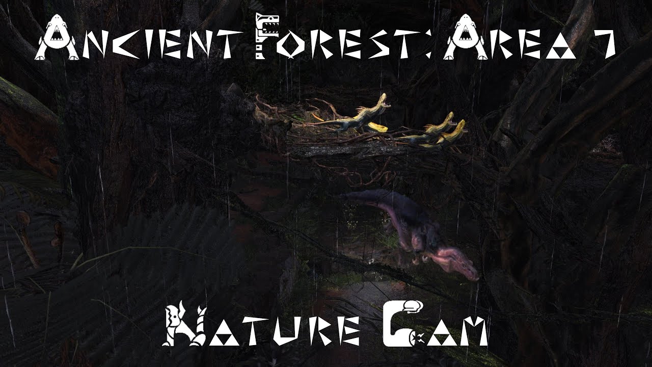 MHW: Ancient Forest: Area 7 Nature Cam - YouTube