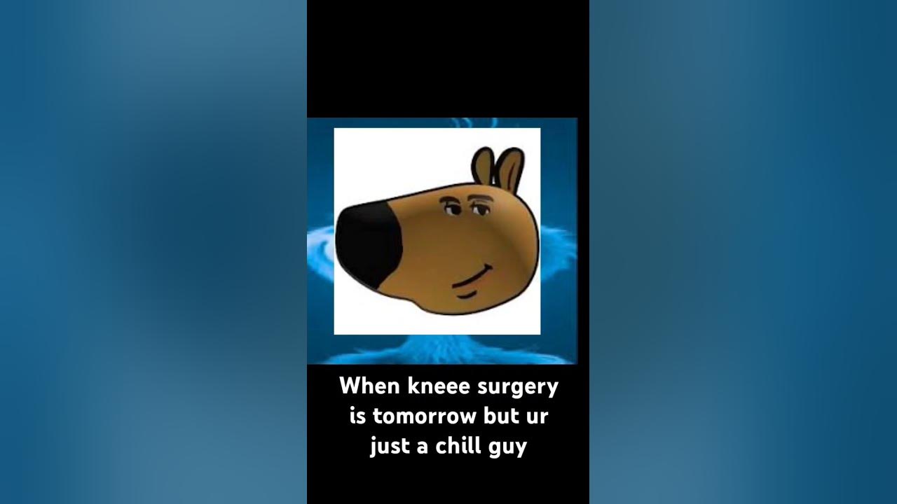 Chill Grinch Chillguy Youtube