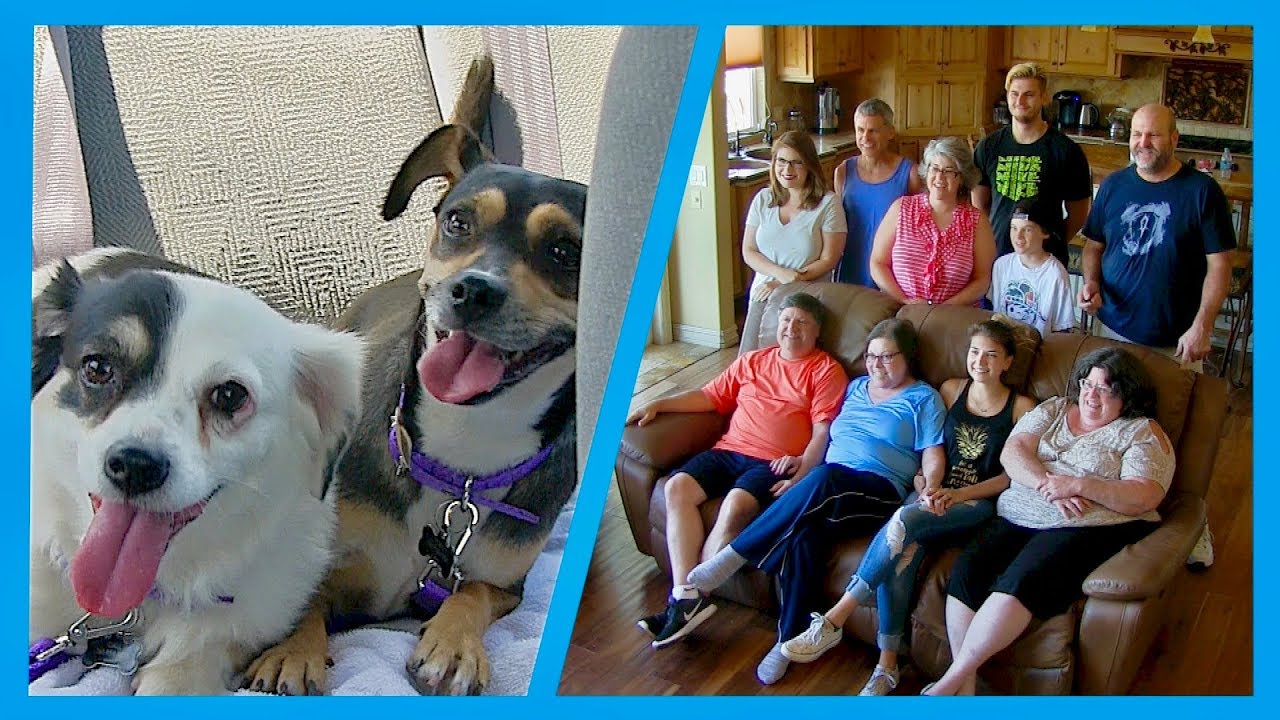 Adopting A Dog | Family Reunion - Last Day - YouTube