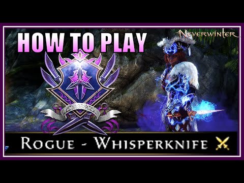 How to Play Rogue Whisperknife for HUGE Damage! - BEST Power Setup to ...
