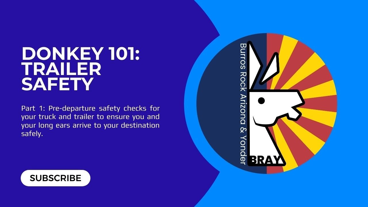 Donkeys 101: Intro to Trailer Safety, Part 1 - YouTube