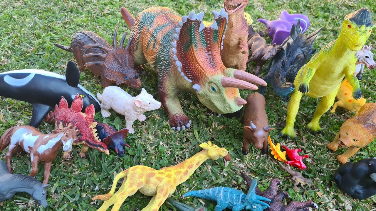 Our Animal Toy Collection - YouTube