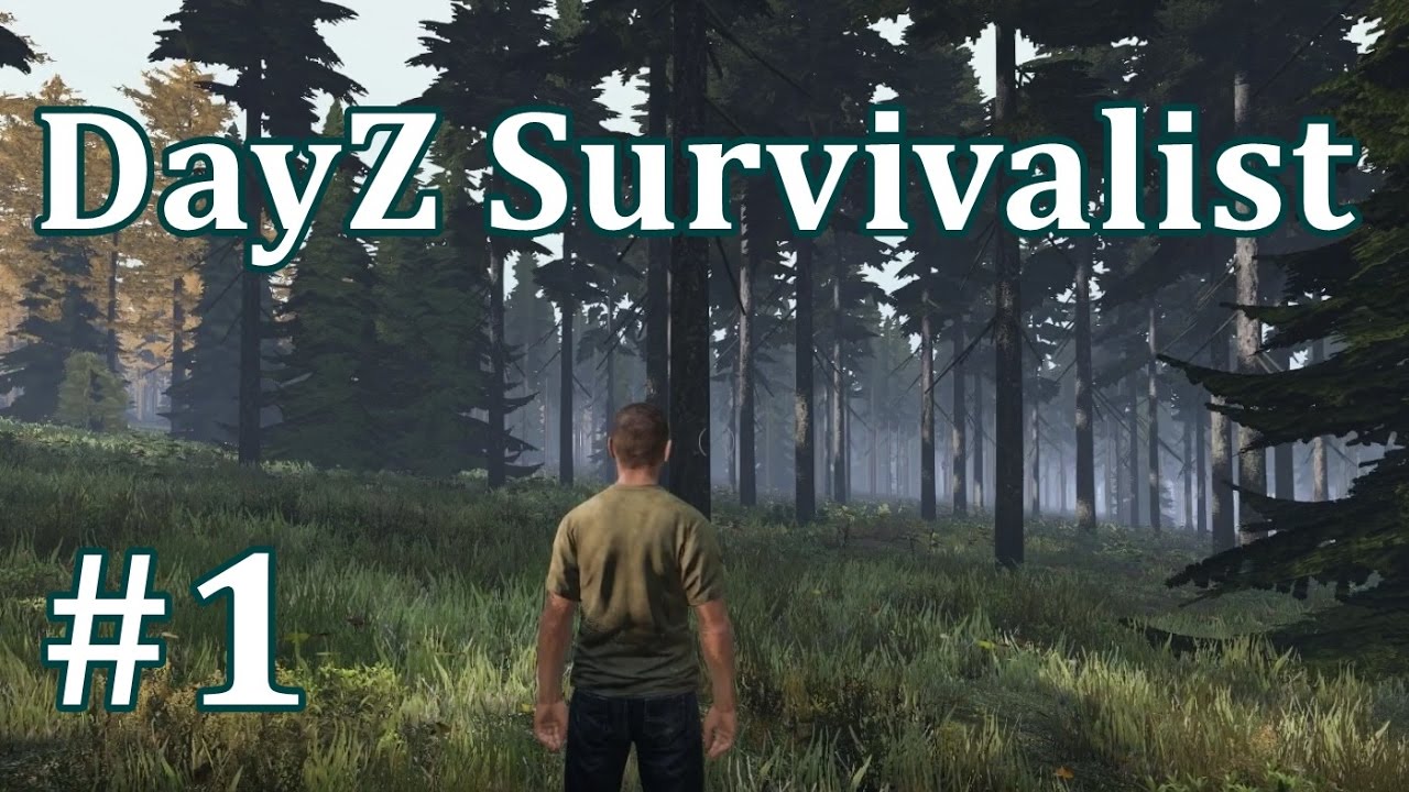 DayZ Survivalist EP1 - Can We Survive? - YouTube