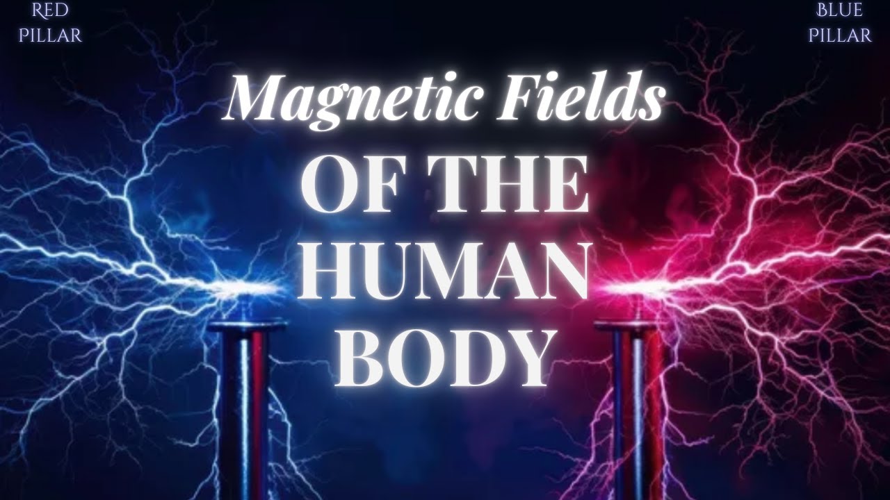 Red and Blue Pillar - Magnetic Fields of the Human Body - YouTube