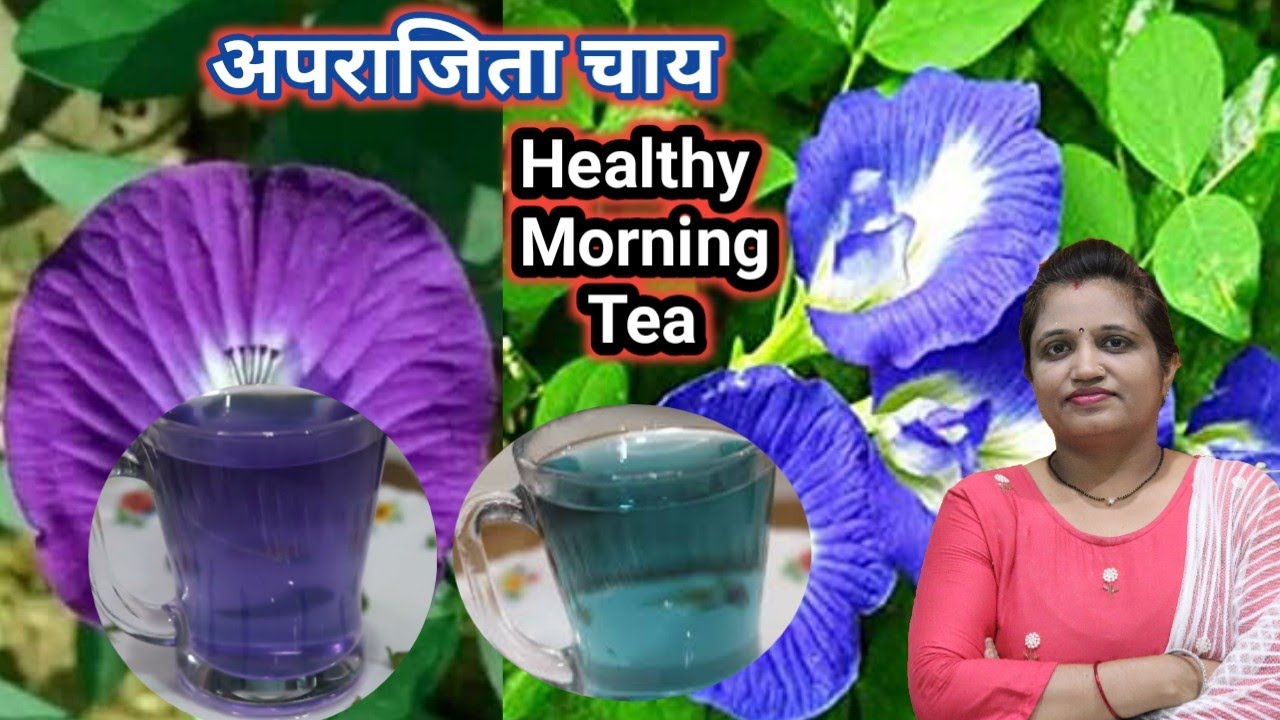 Blue Tea | Butterfly Pea Flower Tea | Aparajita Flower Tea | Most ...