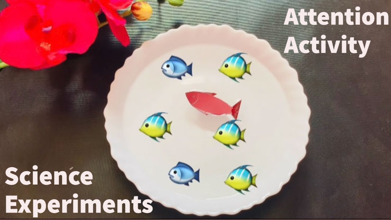Science experiments | Washing liquid Experiments | Swimming Paper Fish Experiment | Rashmi's ...