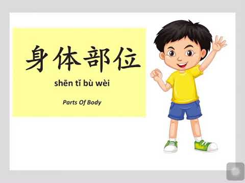 PARTS OF BODY IN CHINESE 身体部位 - YouTube