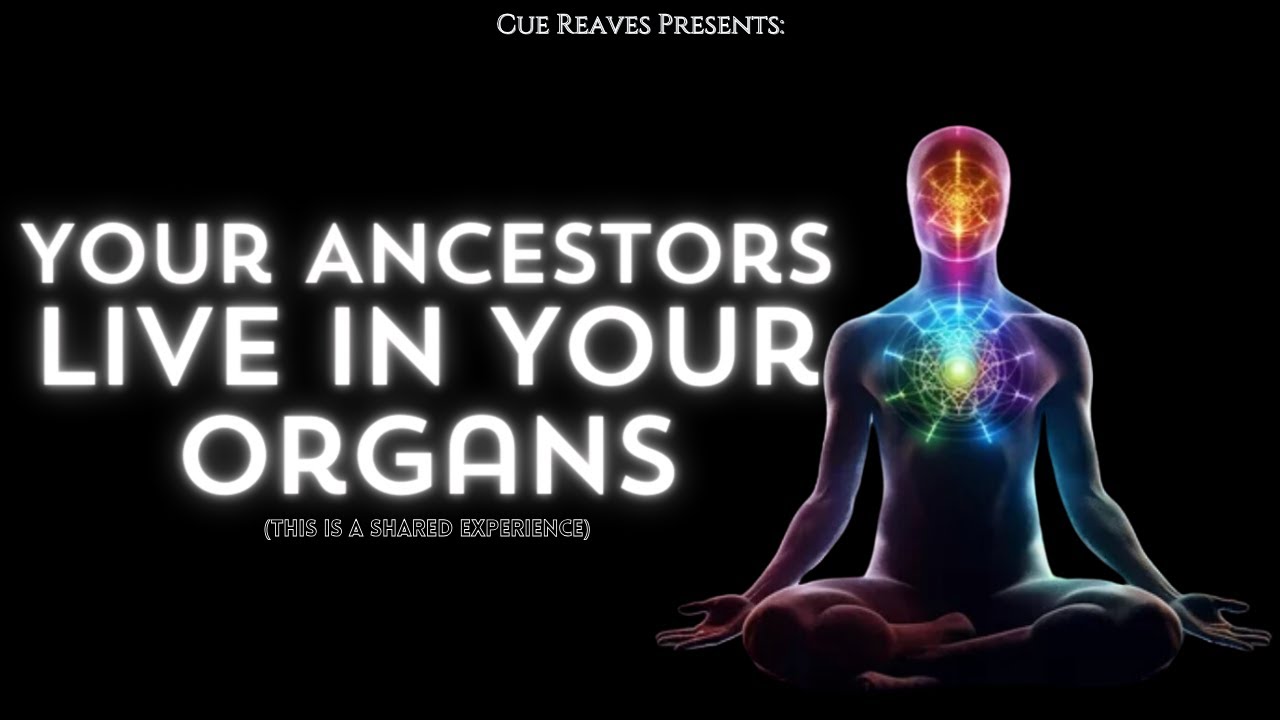 Cue Reaves - Your Ancestors Live in Your Organs (this is a shared ...