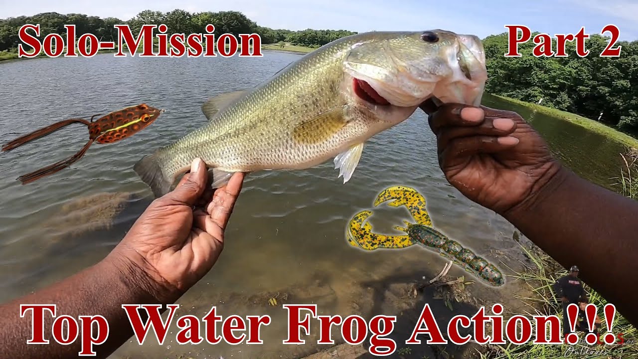 I Think I've Figured Out These Top Water Frogs!?!...Top Water Frog ...