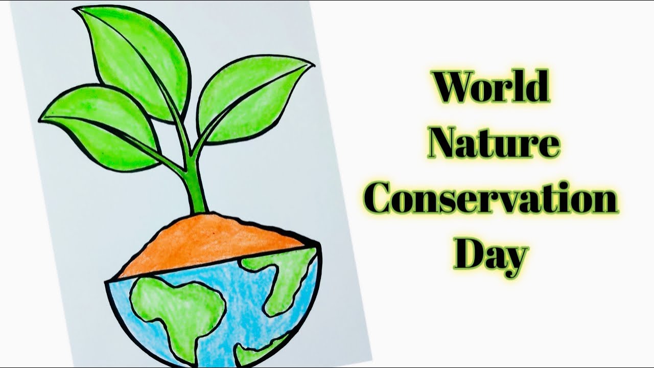 World Nature Conservation Day Drawing // World Nature Conservation Day ...