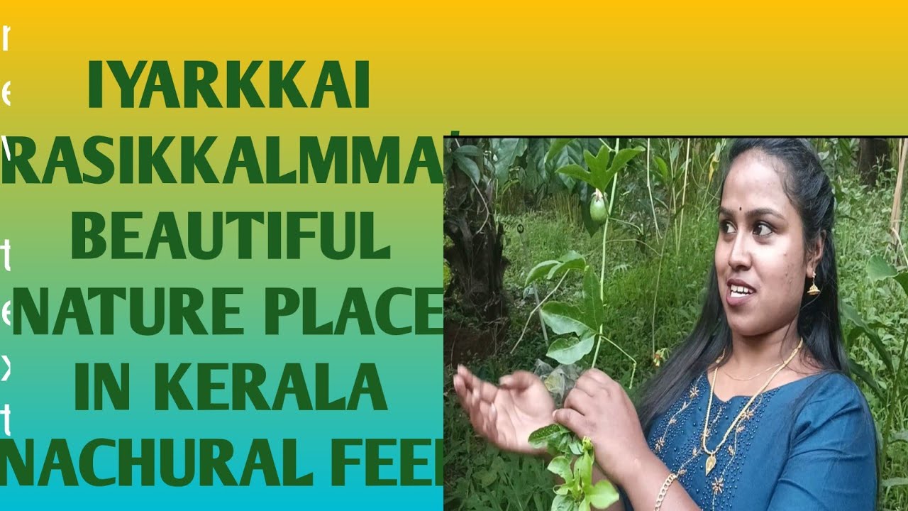Elam thottam And Different types of fruits pakkalama / Cardamom plant ☘ ...