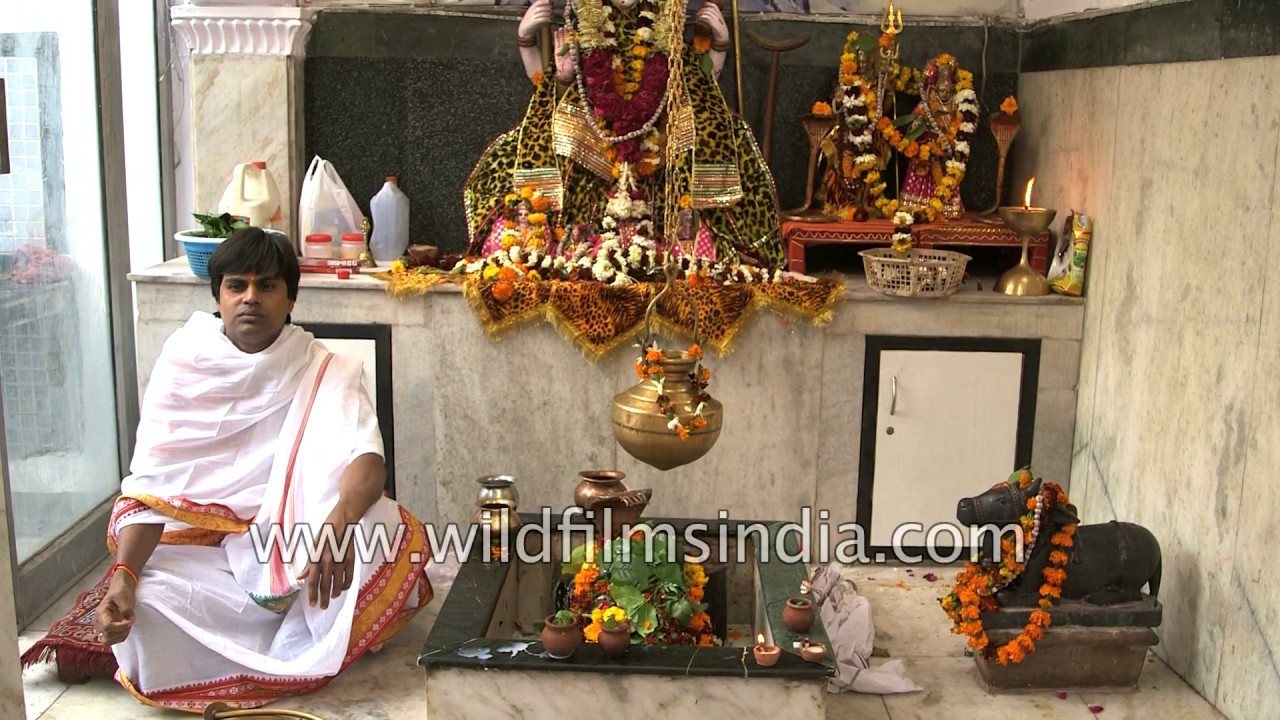 Jagannath Temple interior shot of idols and Hindu pandit who conducts ...