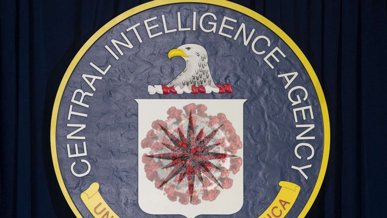 Destiny Rezendes Interview - A 2019 CIA Epidemic Plan Outlines Near Exactly What Happened In ...