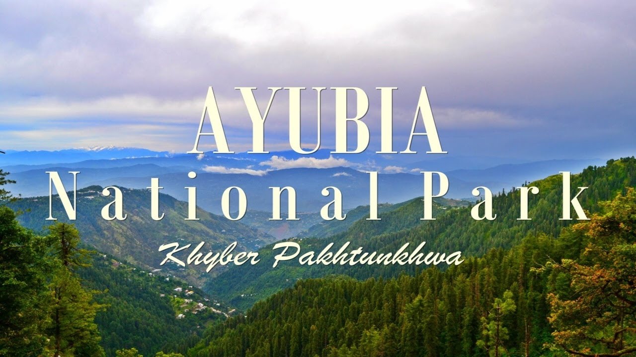 Beauty of AYUBIA | Ayubia National Park KPK Pakistan - YouTube