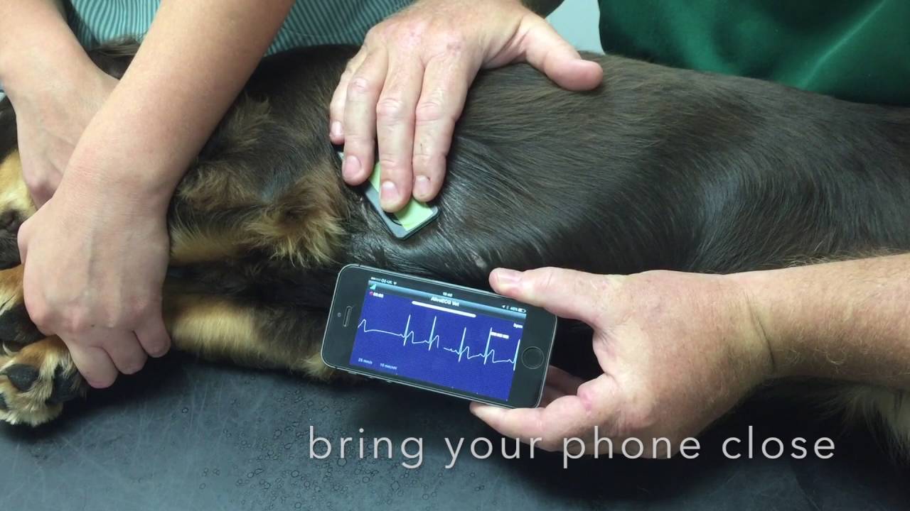 AliveCor ECG monitor - YouTube