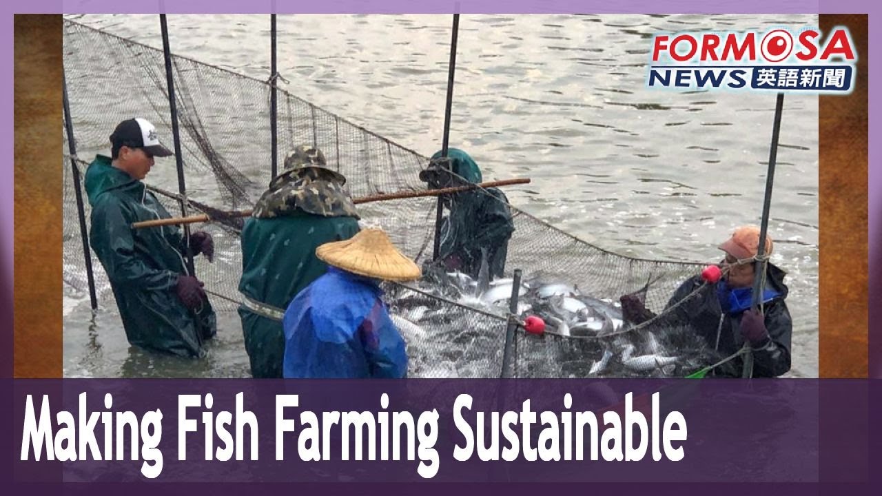 One entrepreneur seeks to bring young talent to rural fish-farming ...