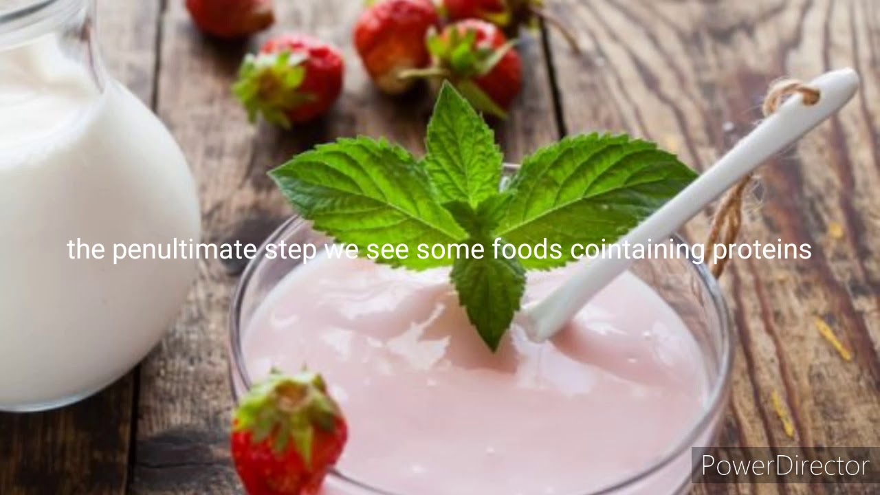 Nico food pyramid HD 720p 1 - YouTube