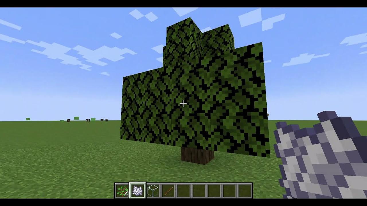 How To Grow Big Oak Trees In Minecraft - YouTube
