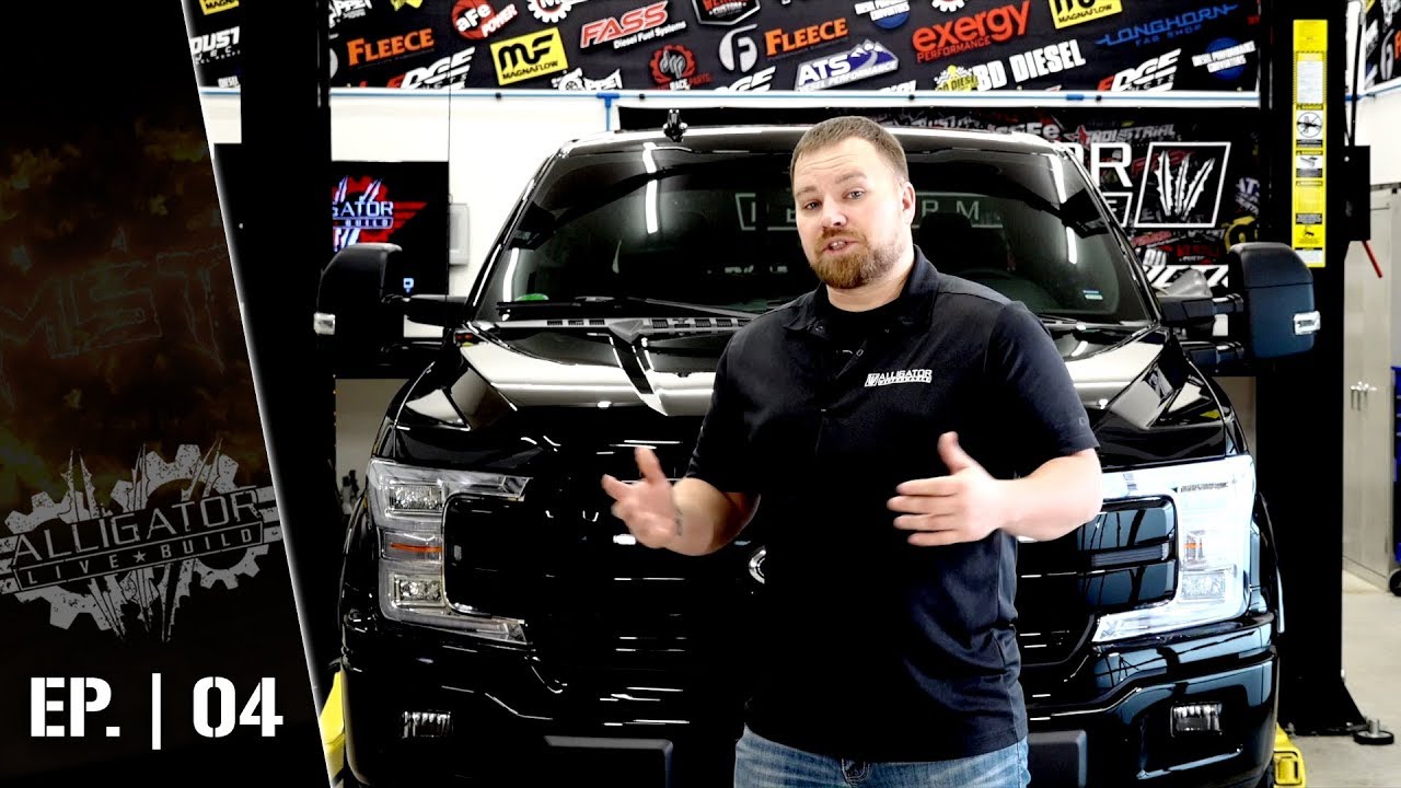 Alligator Live Build - Welcomes Project Brimstone! - YouTube