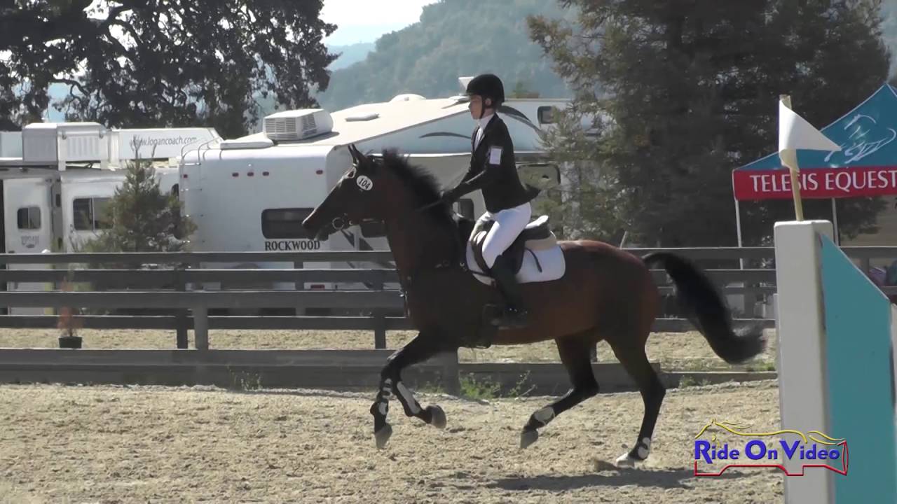 104S Katrina Moss on Appletini SR Training Show Jumping Woodside August ...