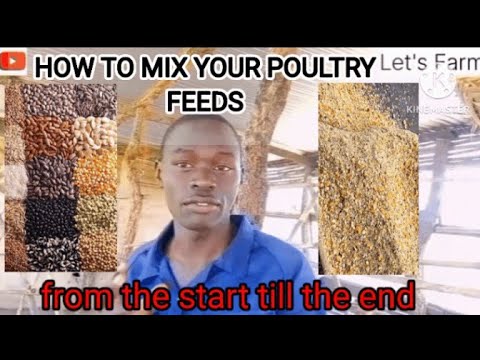 MIXING YOUR POULTRY FEEDS.PART 1 - YouTube