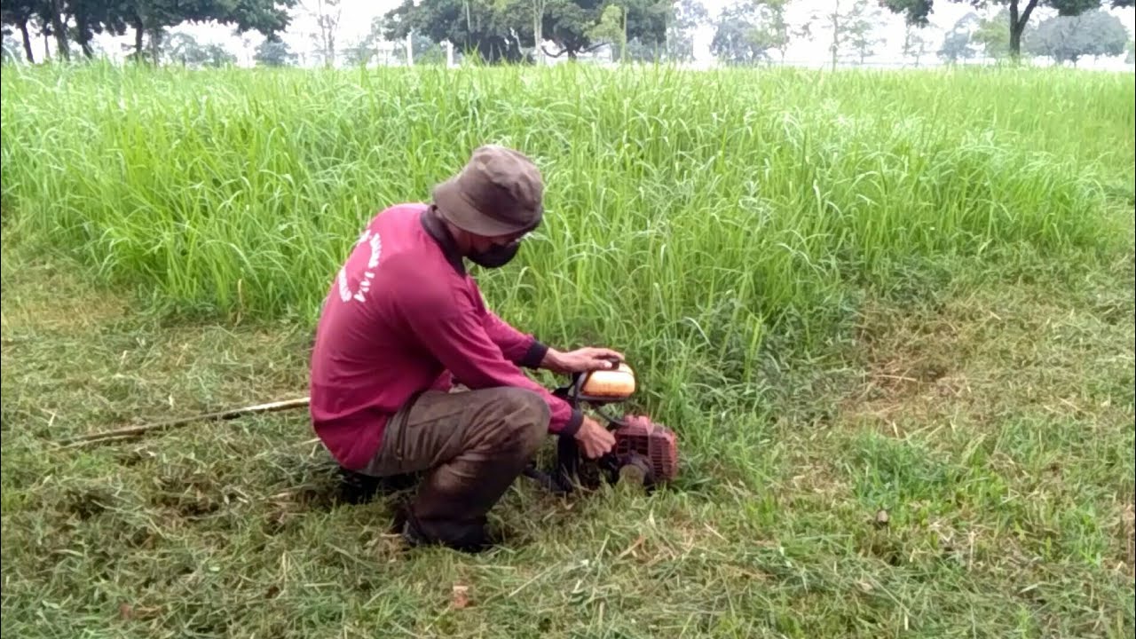 POTONG RUMPUT DENGAN CUACA SEPERTI INI SANGAT MENYENANGKAN - YouTube