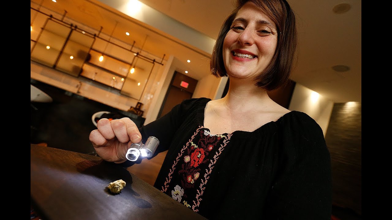 CANNABIS CONNOISSEUR: Tamara Lilien knows AHLOT about pot - YouTube