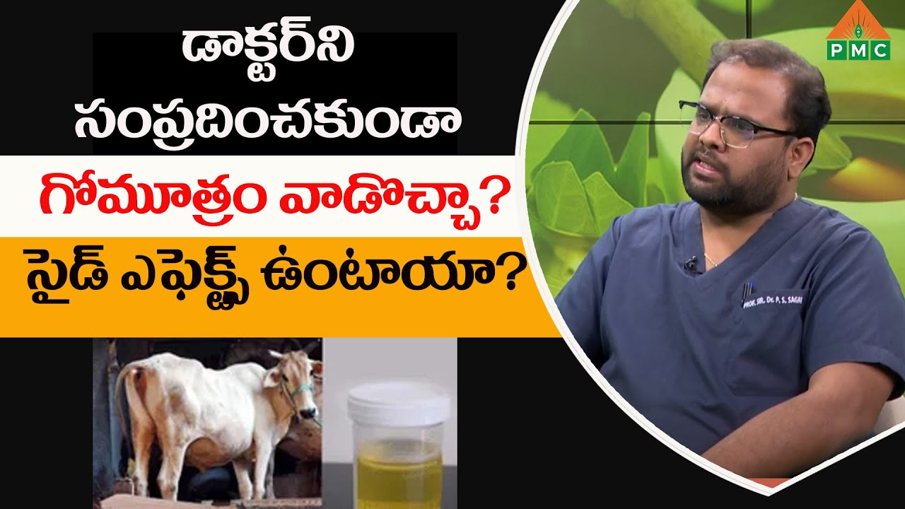 Gomutram : గోమూత్రం వాడొచ్చా ? సైడ్ ఎఫెక్ట్స్ ఉంటాయా ? | PMC Health ...