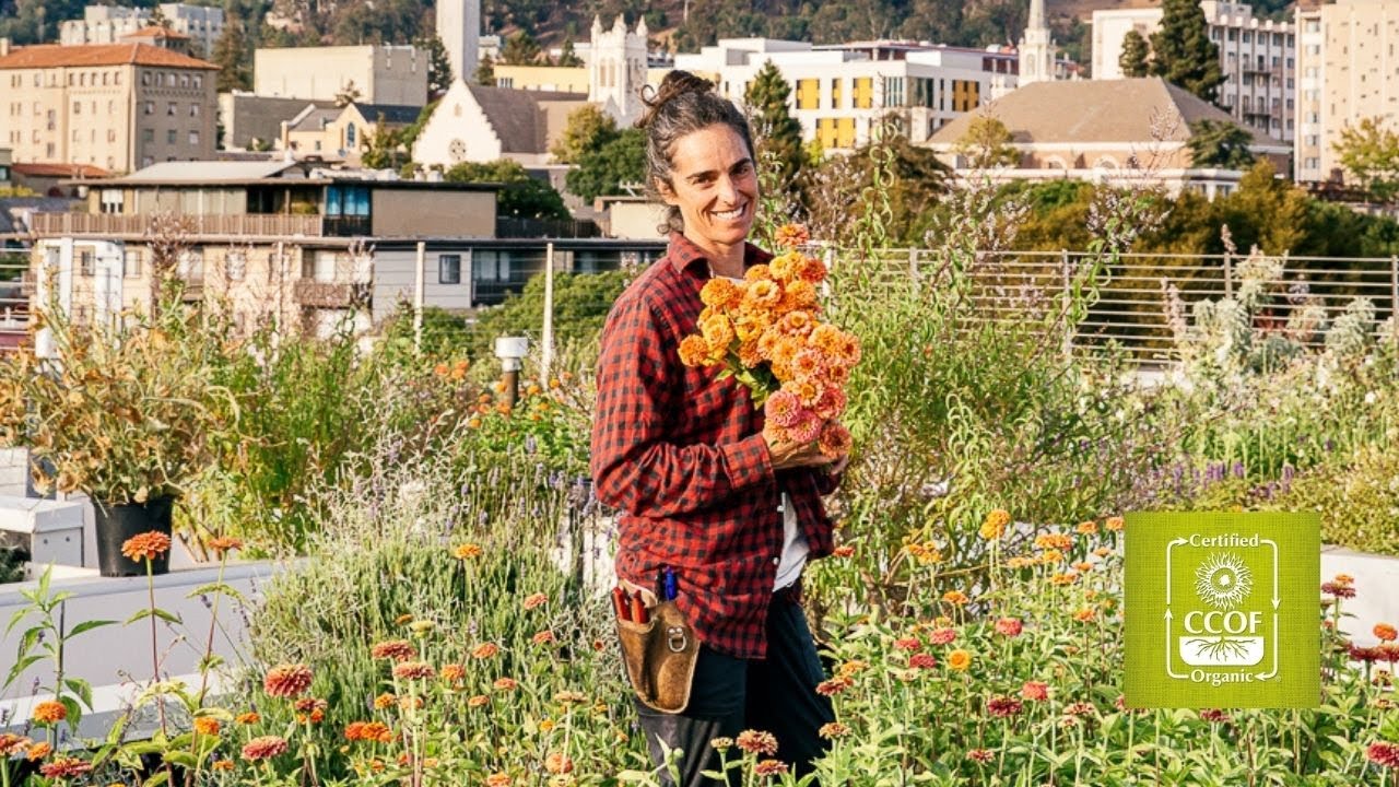 Bluma Farm: Bloomin' in Berkeley's Sky - YouTube