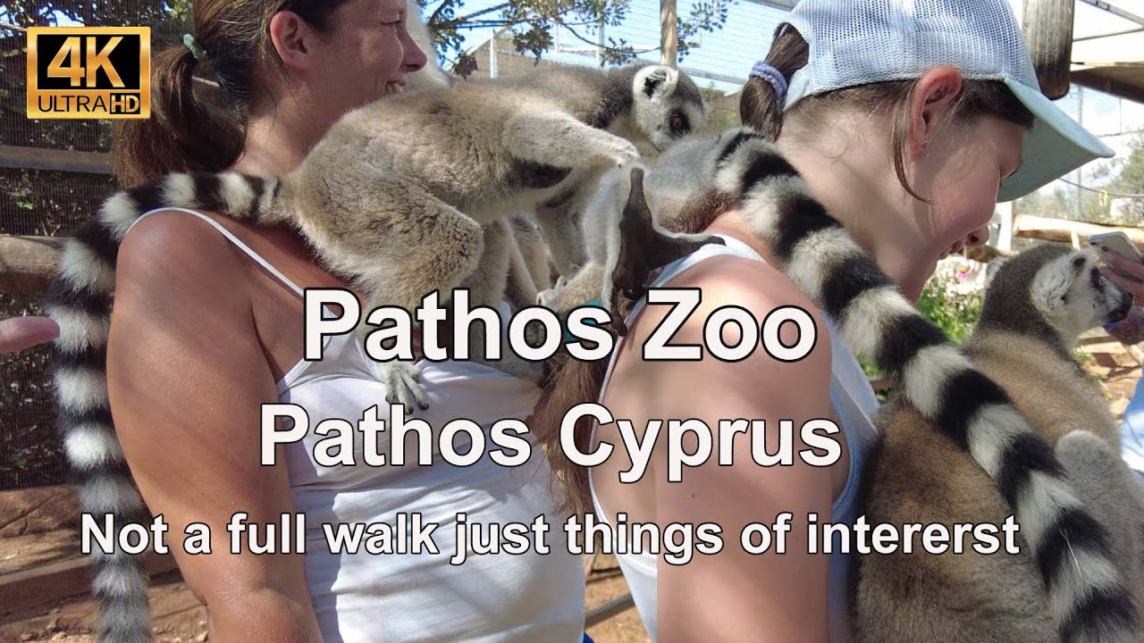 Pathos Zoo Cyprus in 4K - YouTube