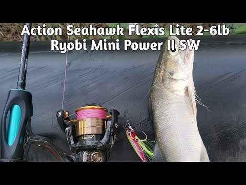 Action Seahawak Flexis Lite 2-6lb Ryobi Mini Power SW 1000 - YouTube