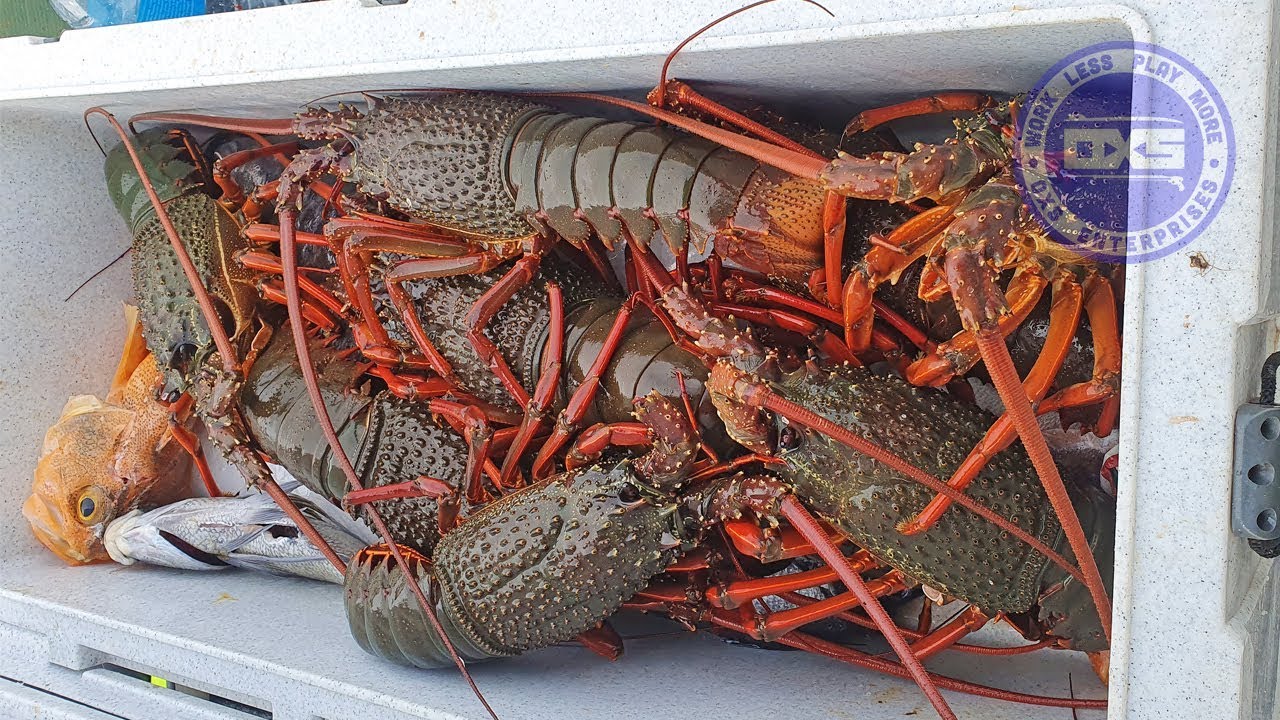 3 Divers 9 Crays - YouTube