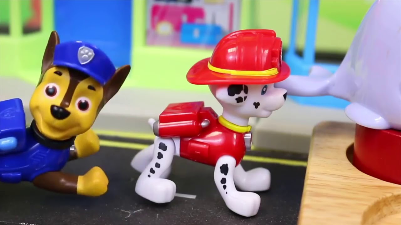 Paw Patrol 2018 | Paw Patrol as Sea Patrol Find Disappearing Animals in ...