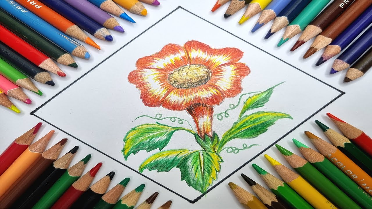 Pencil Shading Flower Drawing - YouTube