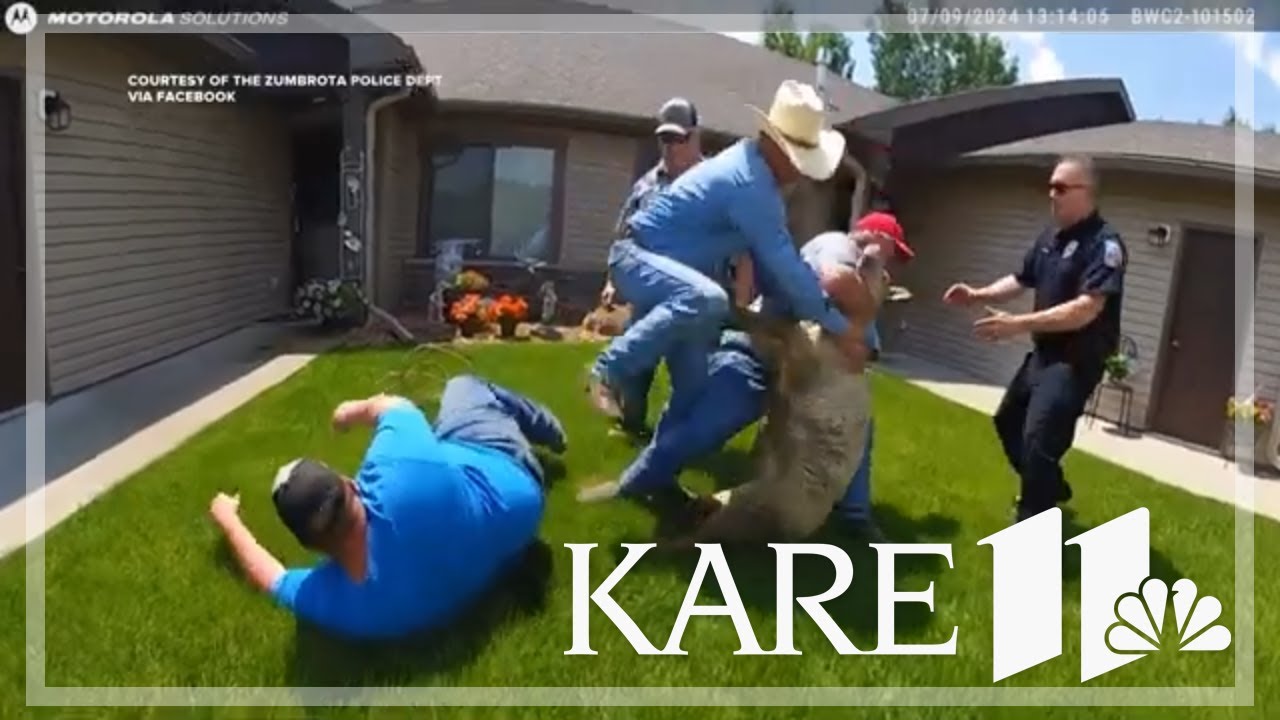 Police officers lasso a sheep with the help of local cowboys - YouTube