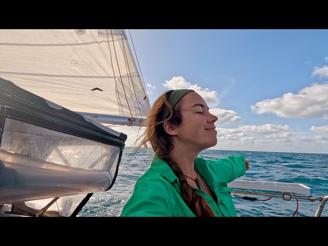 Wind Hippie Sailing
