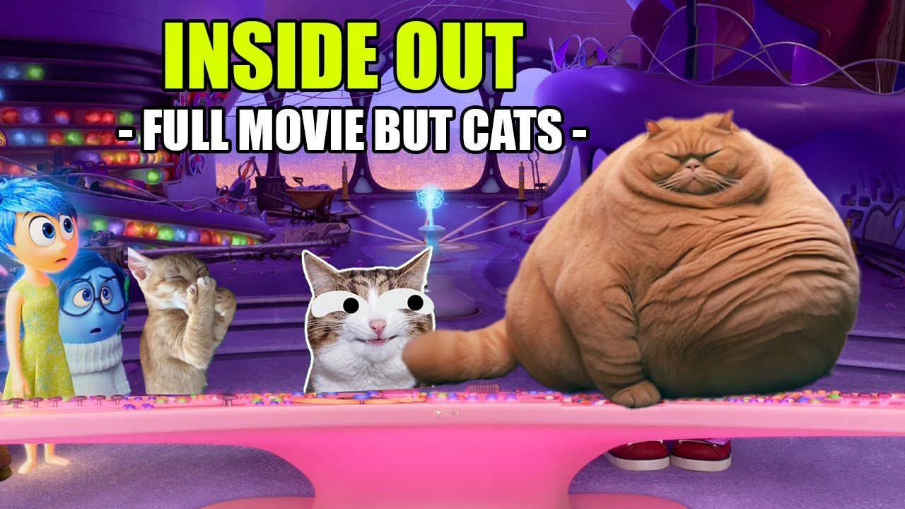 CAT MEMES: INSIDE OUT 2 RECAP FULL MOVIE - YouTube