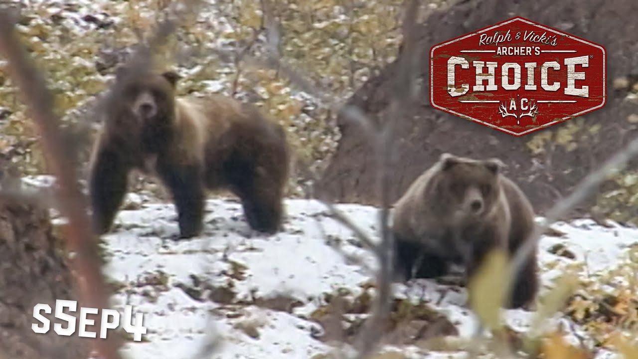 Archer's Choice - Alaska Quest Part 1 (Grizzly Bear) // S5: Episode 4 ...