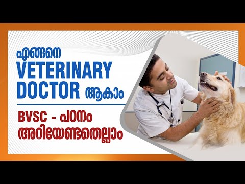 Study BVSc in India | All Details About Veterinary Study in India ...