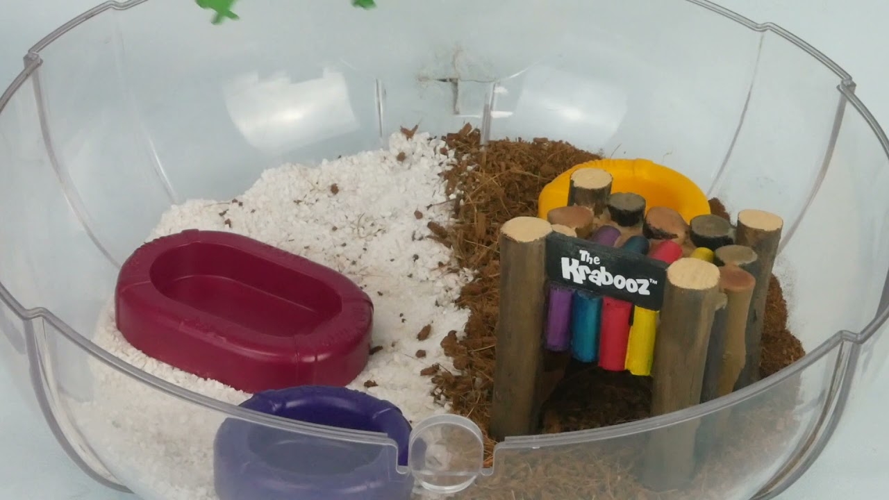 Krabooz Base Kit Setup tutorial - YouTube
