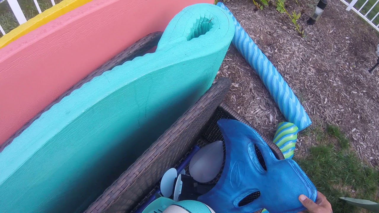 Skunk stuck in a swimming pool - Southington CT - YouTube