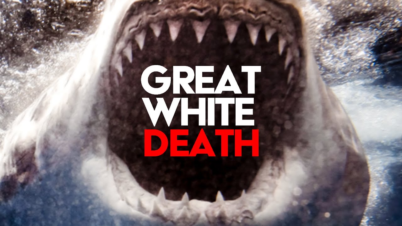Great White Death (1981) | Mondo Style Doc On King Of Sharks - YouTube