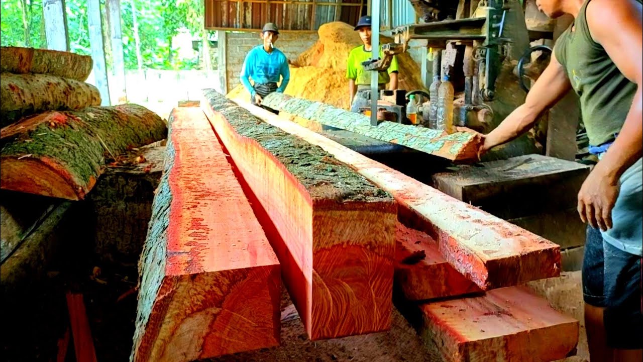 Wow Amazing !! Hebatnya Potong kayu Wadang Super BESAR dan PANJANG ...