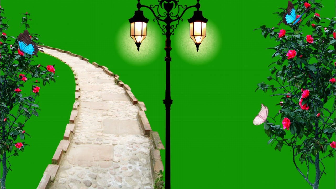 Green Screen Beautiful Garden Flower /Green Screen Butterfly/Green ...