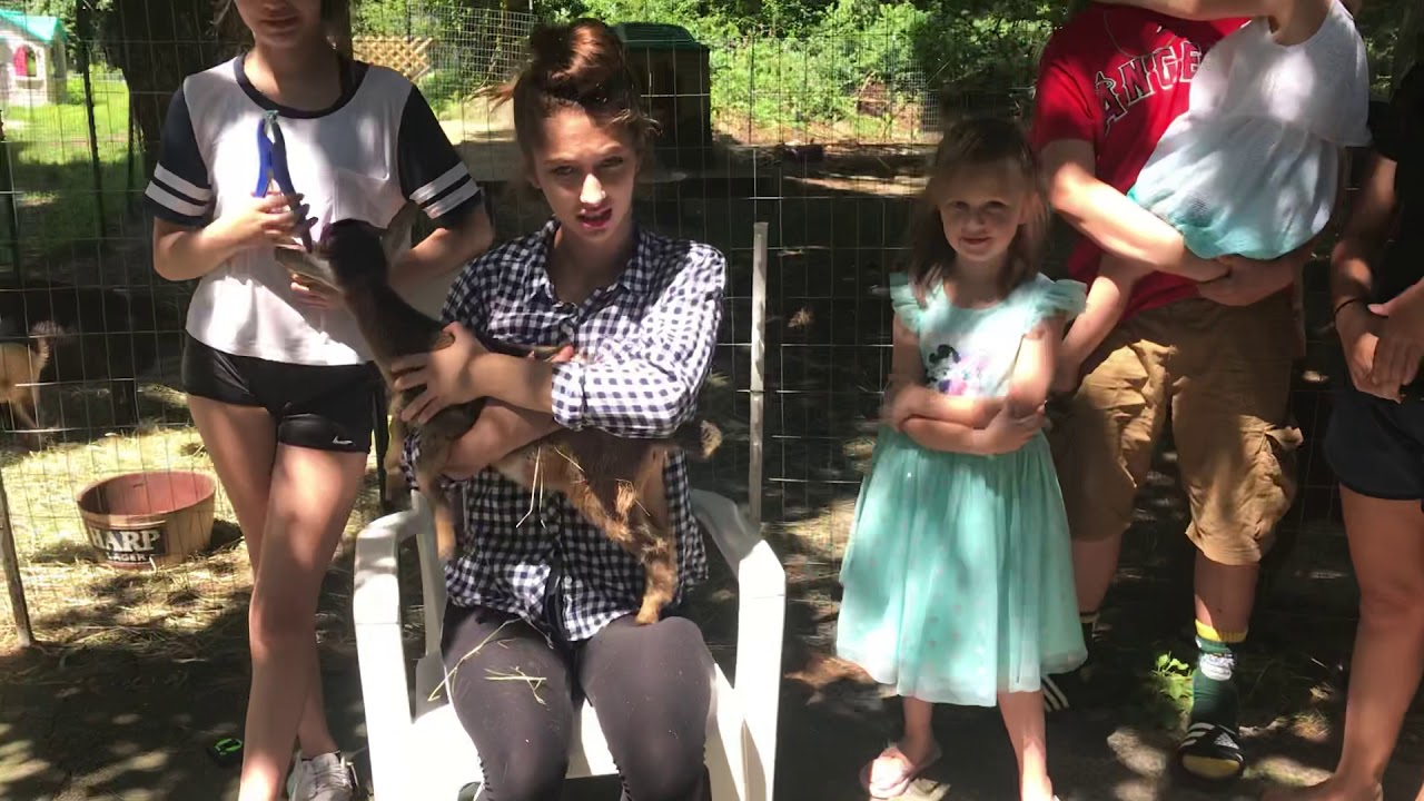 Living Hope Farm - YouTube