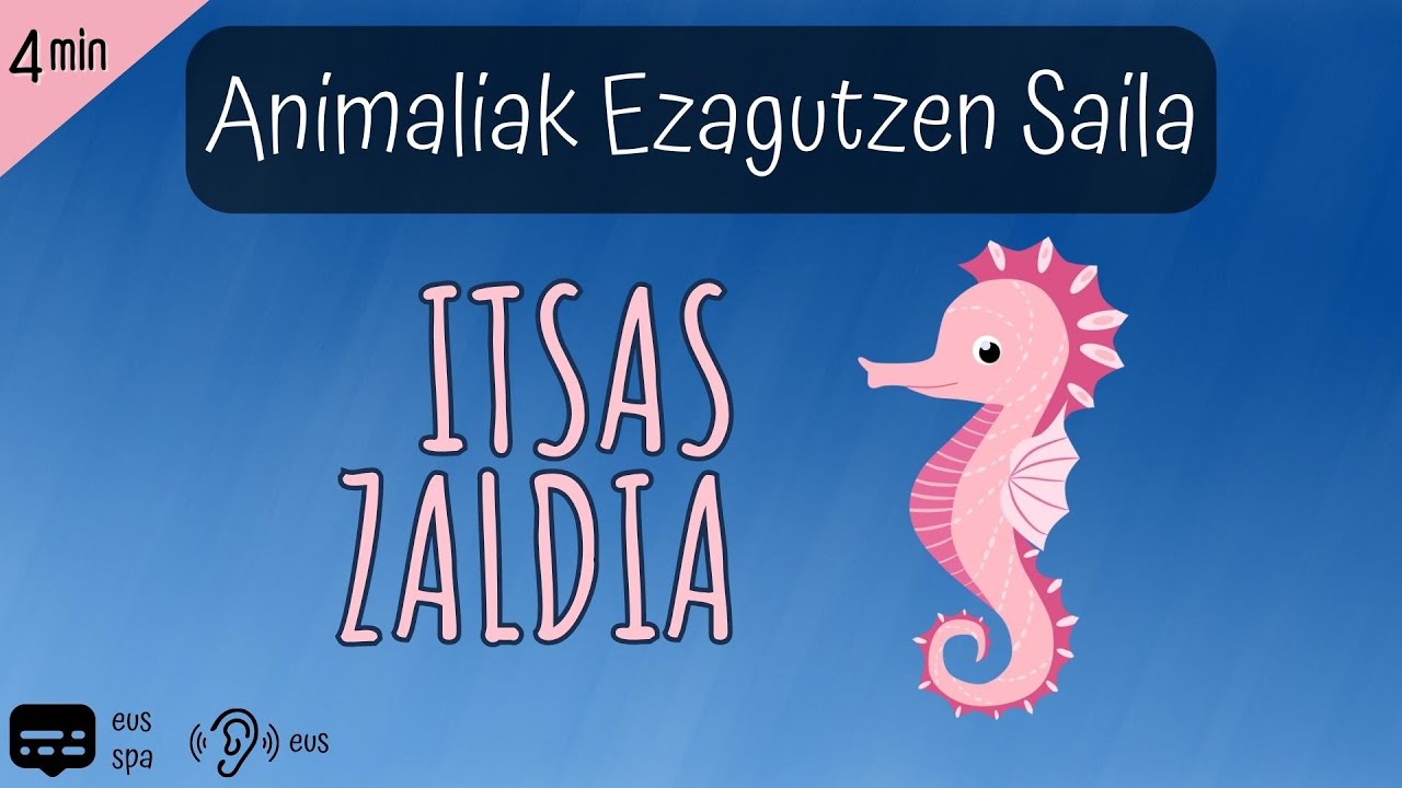 Animaliak 2x03 ITSAS ZALDIA | Itsas animaliak | Arrainak - YouTube