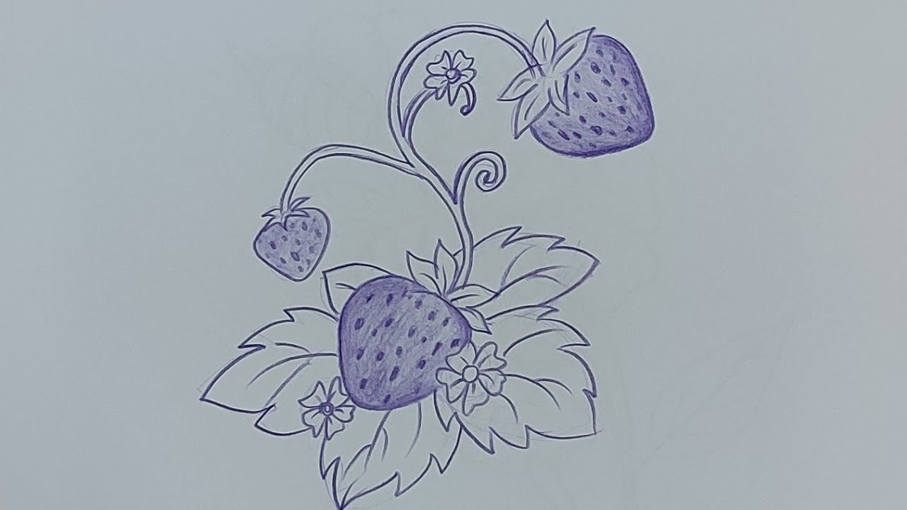 How To Draw A Strawberry Plant