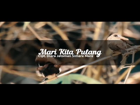 Lagu Rohani Terbaru 2024 Diara Jatoman Simare Mare - Mari Kita Pulang (Official Music Video)